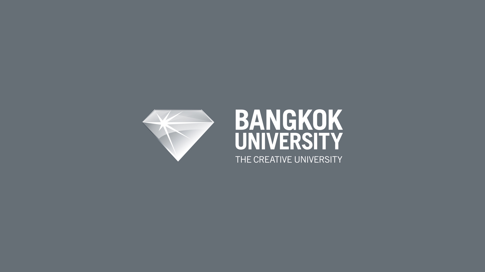 Bangkok University - Experience : RABORA